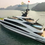 Premium 5-Star Day Cruise: Ha Long & Lan Ha Bay Tour - What’s Included & What’s Not