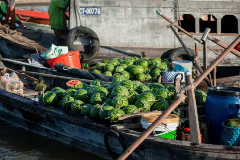 Premium Can Tho Floating Market and Rural Cycling Tour - The Itinerary and What Makes Each Stop Special