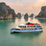PREMIUM Day Cruise in Halong Bay: Buffet Lunch and Sunset Party - Final Thoughts: Is It Worth It?