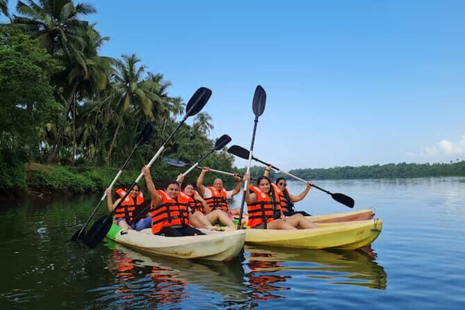 Premium Guided Kayak Tours in the Pristine River Chapora. - A Closer Look at the Itinerary & Highlights