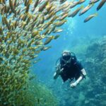 Premium Guided Scuba Diving Day Trip for Certified Divers - FAQs