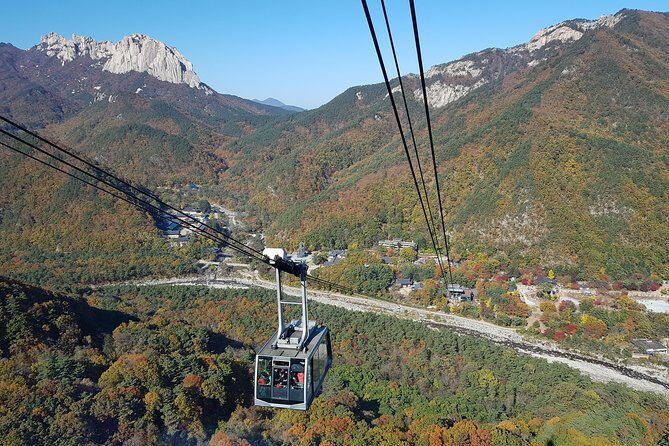 [Premium Private Tour] Mt Seorak & East Sea or Nami island from Seoul - What About Logistics and Value?