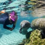 Preseason Special Snorkeling with Manatees Experience - Why This Tour Is Worth Considering