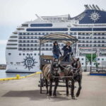 Prince Edward Island: Horse-Drawn Carriage Tour - What Travelers Say