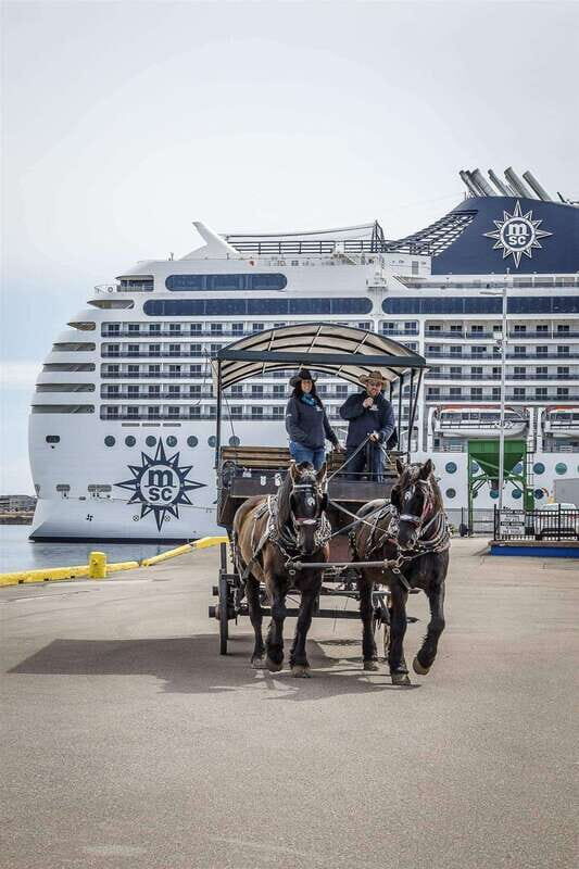 Prince Edward Island: Horse-Drawn Carriage Tour - What Travelers Say