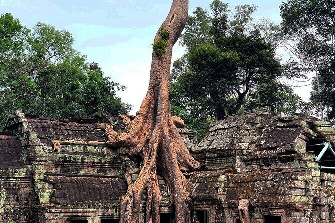 Private 1-Day Angkor Wat Sunrise Tour with German Tour Guide - Who This Tour Is Best For