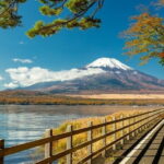 Private 1 Day Round Trip Tour from Tokyo to Mount Fuji - An In-Depth Look at the Itinerary