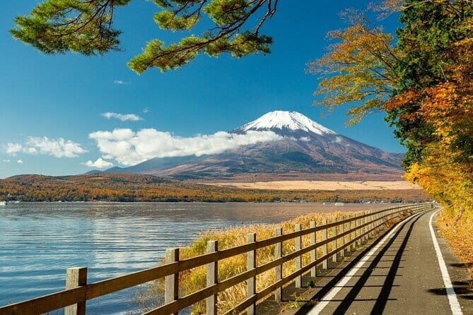 Private 1 Day Round Trip Tour from Tokyo to Mount Fuji - An In-Depth Look at the Itinerary