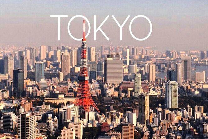Private 1-Day Tokyo city tour with English speaking Driver - Who Will Love This Tour?