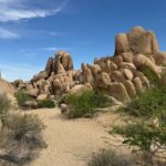 Private 1 Day Tour to Joshua Tree National Park - Frequently Asked Questions