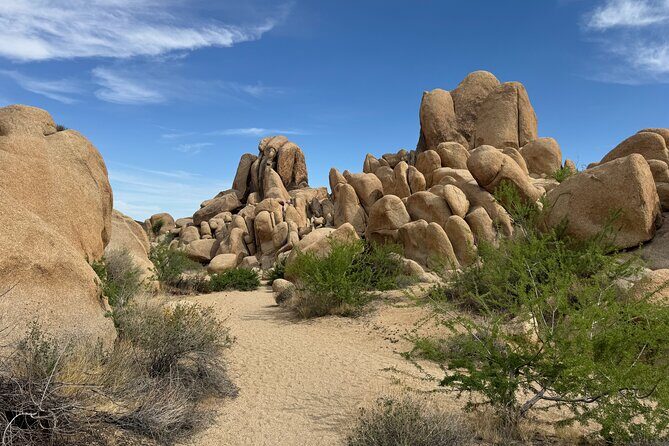 Private 1 Day Tour to Joshua Tree National Park - Frequently Asked Questions