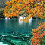 Private 2-Day Jiuzhaigou & Huanglong Tour by Train from Chengdu - Transportation: Fast, Comfortable, and Convenient