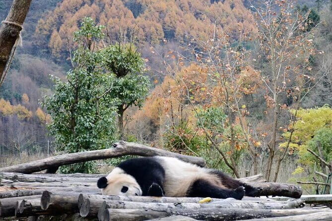 Private 2-day Tour to Wolong Panda Base and Mt. Siguniang - Frequently Asked Questions