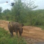 Private 2 Day Tour Udawalawe & Ella From Kandy - Practical Details: What It Means for You