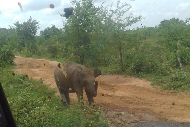 Private 2 Day Tour Udawalawe & Ella From Kandy - Practical Details: What It Means for You