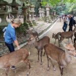 Private 3-Hour UNESCO Heritage Sites & Deer Park Tour - An In-Depth Look at the Private Nara Tour