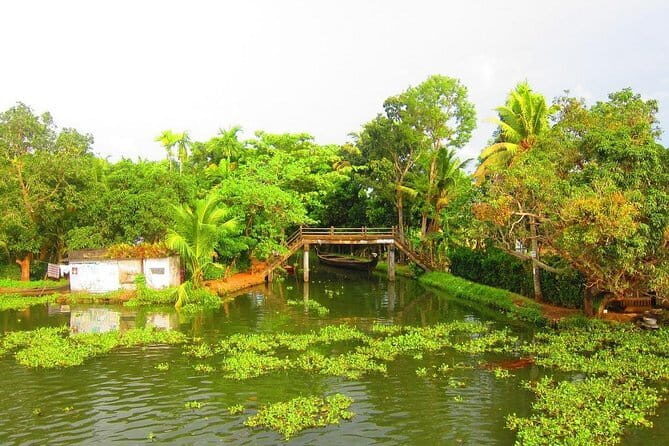 Private 4-Day Tour of Thekkady and Aleppey with Houseboat Cruise from Madurai - Why This Tour Offers Good Value