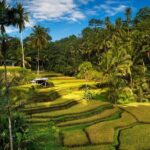 Private 4-Day Tours - Best Bali Tours Package - Best of Bali Highlights - Who Would Love This Tour?
