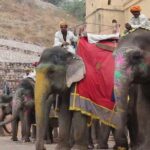 Private 4 Nights 5 Days Golden Triangle Tour (DELHI-AGRA-JAIPUR-DELHI) - Authentic Experiences and Hidden Gems