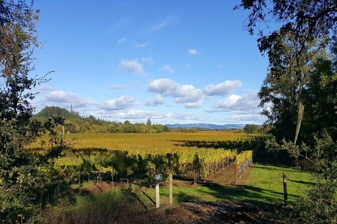 Private 5 day California Vineyards, Waves and Wine Tour - Day 3: Vineyards, Biking, and the Russian River Valley