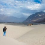 Private 6 Days Tour Visit to Ladakh with Meals Included - Who Is This Tour Best For?