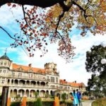 Private 6 Hrs Shimla City Tour - Authentic Value and Traveler Insights