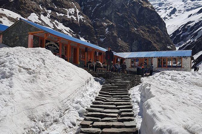 Private 7 - Day Annapurna Base Camp Trekking - Wrapping Up: Who Will Love This Trek?