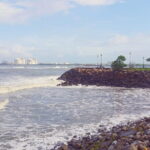 Private 7-Day Kerala Tour with Houseboat Cruise from Mumbai with 2-Way Flights - Scenic Drive to Munnar: Tea and Rubber Plantations