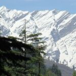 Private 7 Days Shimla Manali Hill Stations Tour From Chandigarh - Authentic Experiences and Traveler Feedback