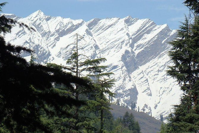 Private 7 Days Shimla Manali Hill Stations Tour From Chandigarh - Authentic Experiences and Traveler Feedback