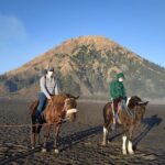 Private Adventure King Kong Hill Bromo National Park in Malang - The Itinerary Breakdown: What You Will See and Experience