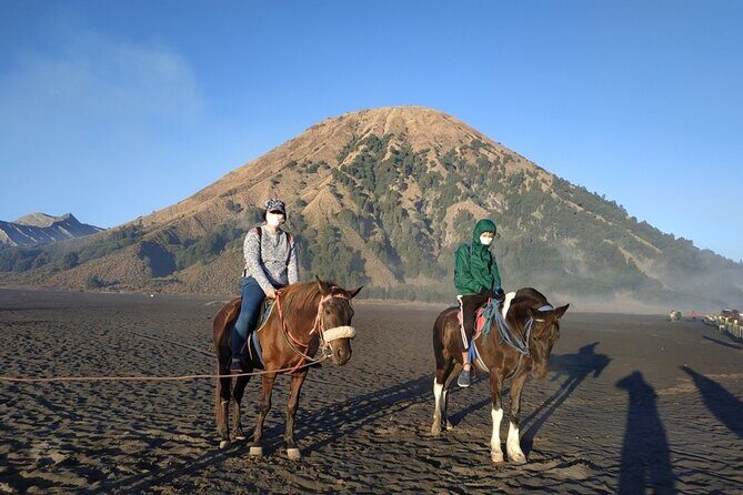 Private Adventure King Kong Hill Bromo National Park in Malang - The Itinerary Breakdown: What You Will See and Experience