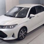 Private Airport Pick up and Drop off Service in Chittagong City - Real Traveler Insights and Practical Details