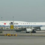 Private Airport Transfer: Beijing Airport to Beijing Hotel - What Travelers Say About This Service