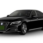 Private Airport Transfer - Itami Airport (ITM) to Osaka - Flexibility and Ease of Planning