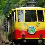 Private All Inclusive Family Tour to Takao Mountain with Prizes - Assessing the Value