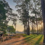 Private Angkor Park Guided Tour (Must-Visit Temples) - Transportation and Comfort