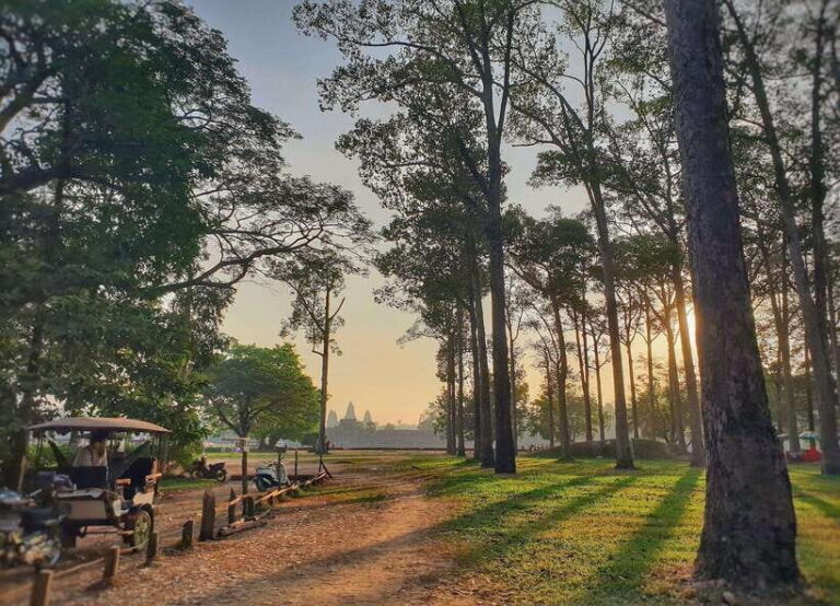 Private Angkor Park Guided Tour (Must-Visit Temples) - Transportation and Comfort