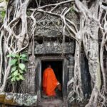 Private Angkor Temples Discovery Hosting by Local Expert - What Makes This Tour Stand Out?