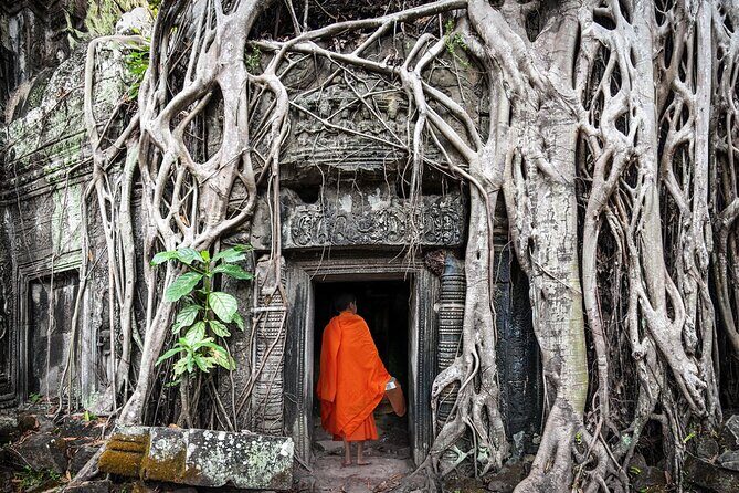 Private Angkor Temples Discovery Hosting by Local Expert - What Makes This Tour Stand Out?