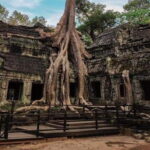Private Angkor Wat Day Tour with Pre Rup Temple Sunset - The Practicalities and Value