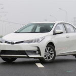 Private Arrival Transfer from Gaoqi Airport to Xiamen City Hotel - Why We Think It’s a Good Deal