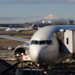 Private Arrival Transfer : Haneda International Airport to Tokyo Disney - What Makes This Service Stand Out?