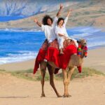 Private ATV and Camel Ride on a White Sand Beach - Logistics and Practical Tips
