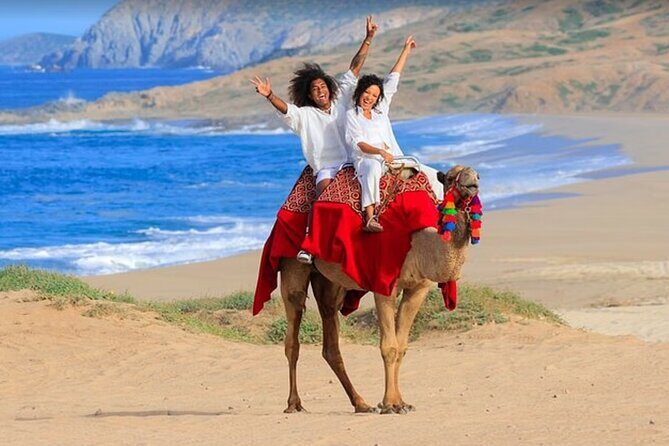 Private ATV and Camel Ride on a White Sand Beach - Logistics and Practical Tips