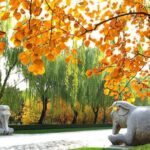 Private Beijing Day Trip: Mutianyu Great Wall and Ming Tombs - Value and Practical Aspects