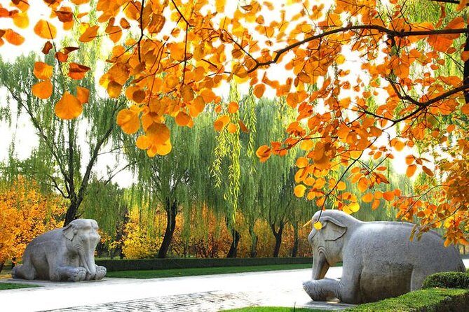 Private Beijing Day Trip: Mutianyu Great Wall and Ming Tombs - Value and Practical Aspects