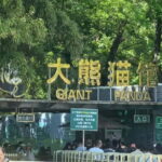 Private Beijing Layover Tour: Great Wall + City Attraction - Comprehensive Review of the Tour Experience