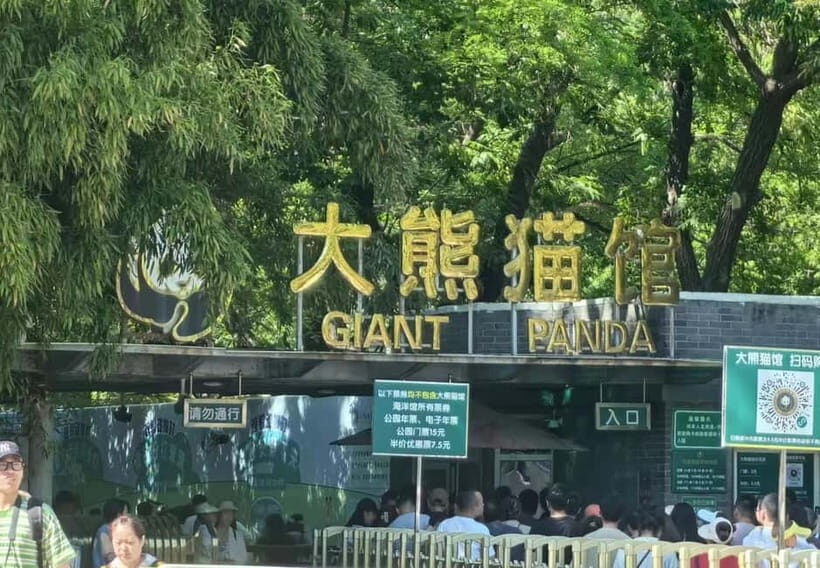 Private Beijing Layover Tour: Great Wall + City Attraction - Comprehensive Review of the Tour Experience