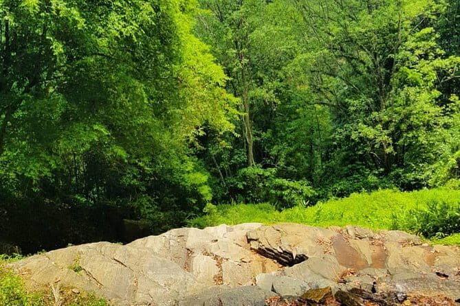 Private Bird watching and Nature trekking in Udawatta Kele Sanctuary - Who Should Consider This Tour?